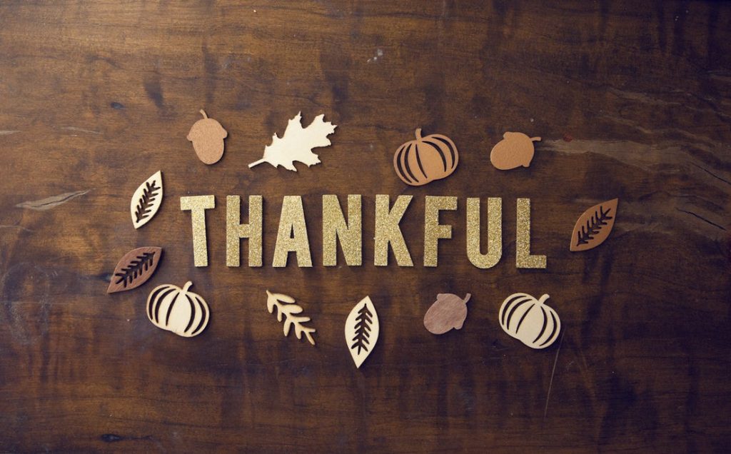 Three Ways Kids Can Give Back this Thanksgiving - All My Children ... Three Ways Kids Can Give Back this Thanksgiving - All My Children ...